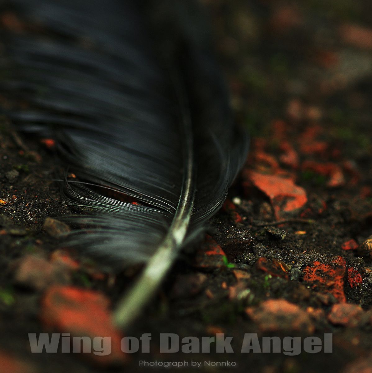 Wing of Dark Angel | GANREF