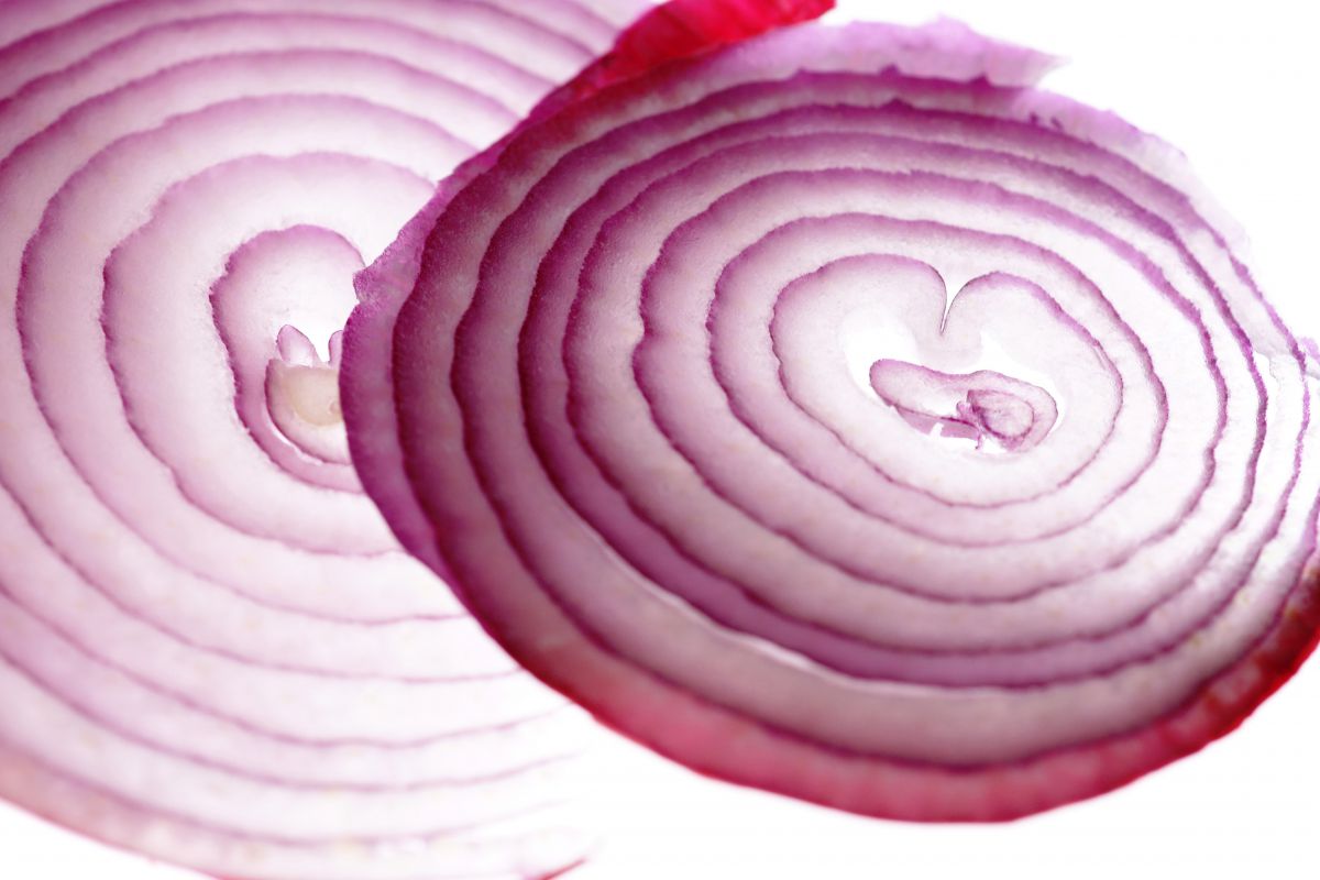 Degital de Vegetable 4 | GANREF