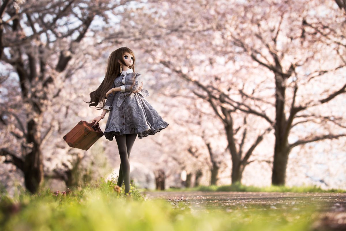 Spring Journey | GANREF