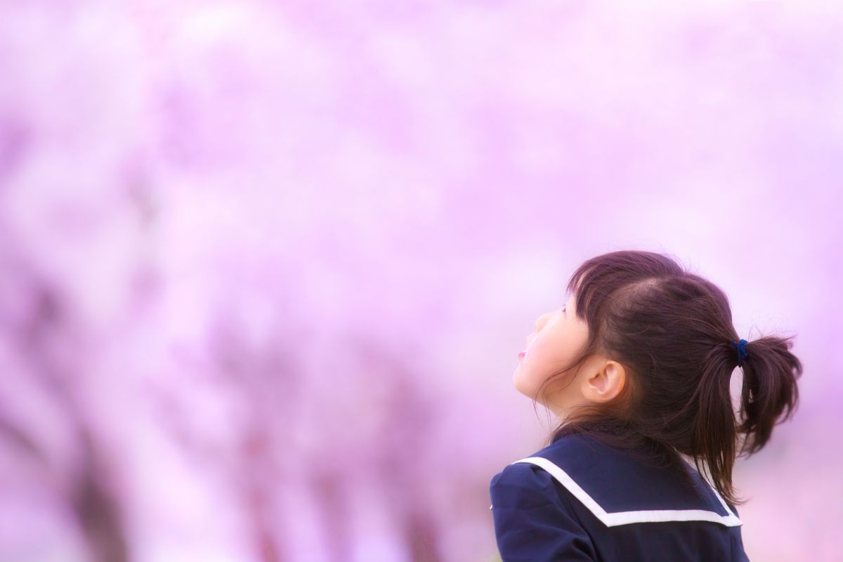 cherry blossom 2015 | GANREF