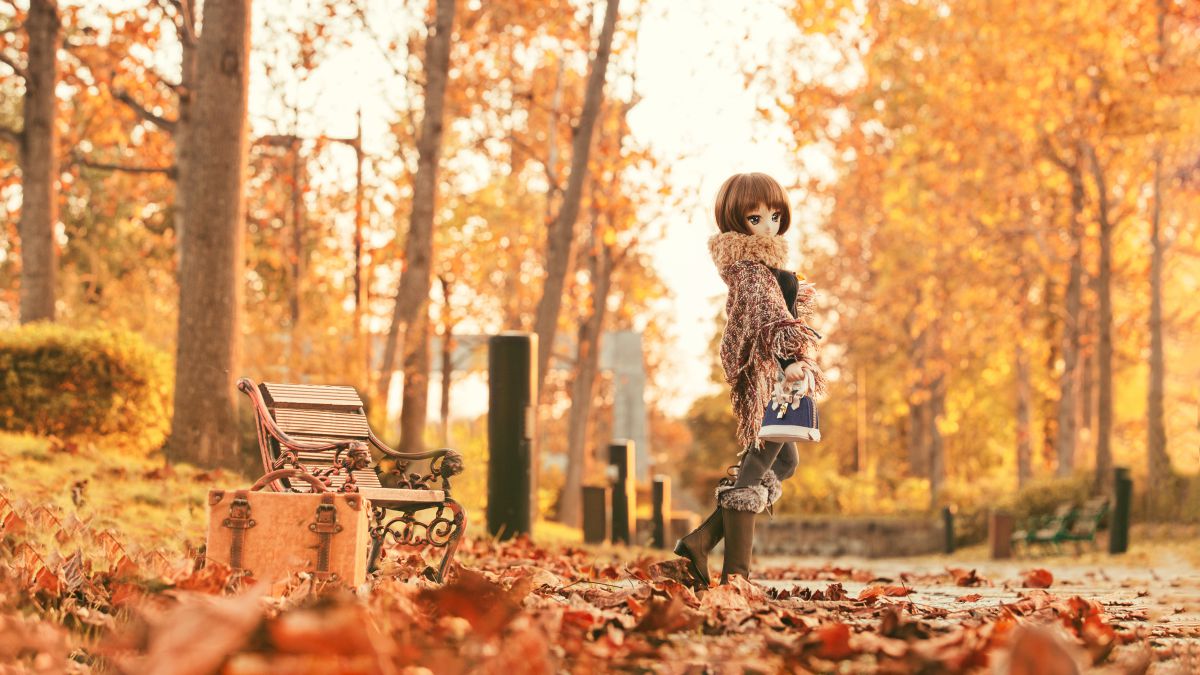 Autumn promenade | GANREF
