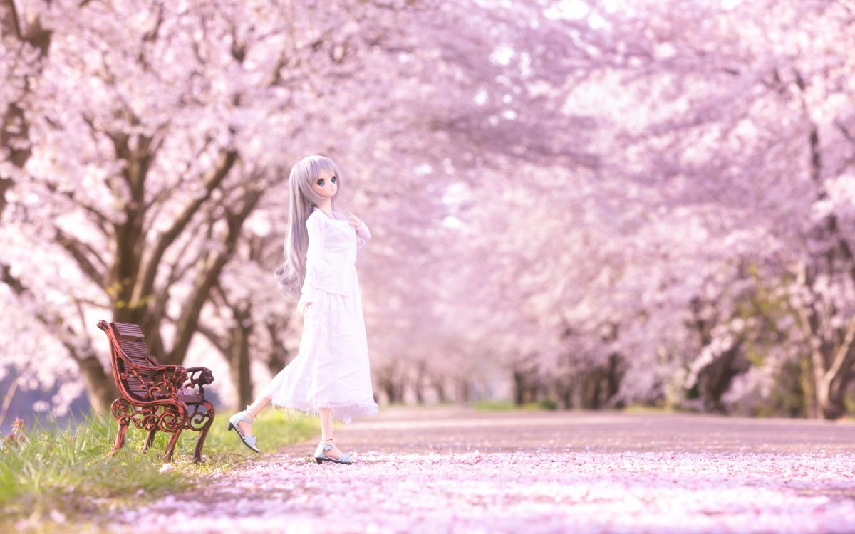 brisk morning | GANREF