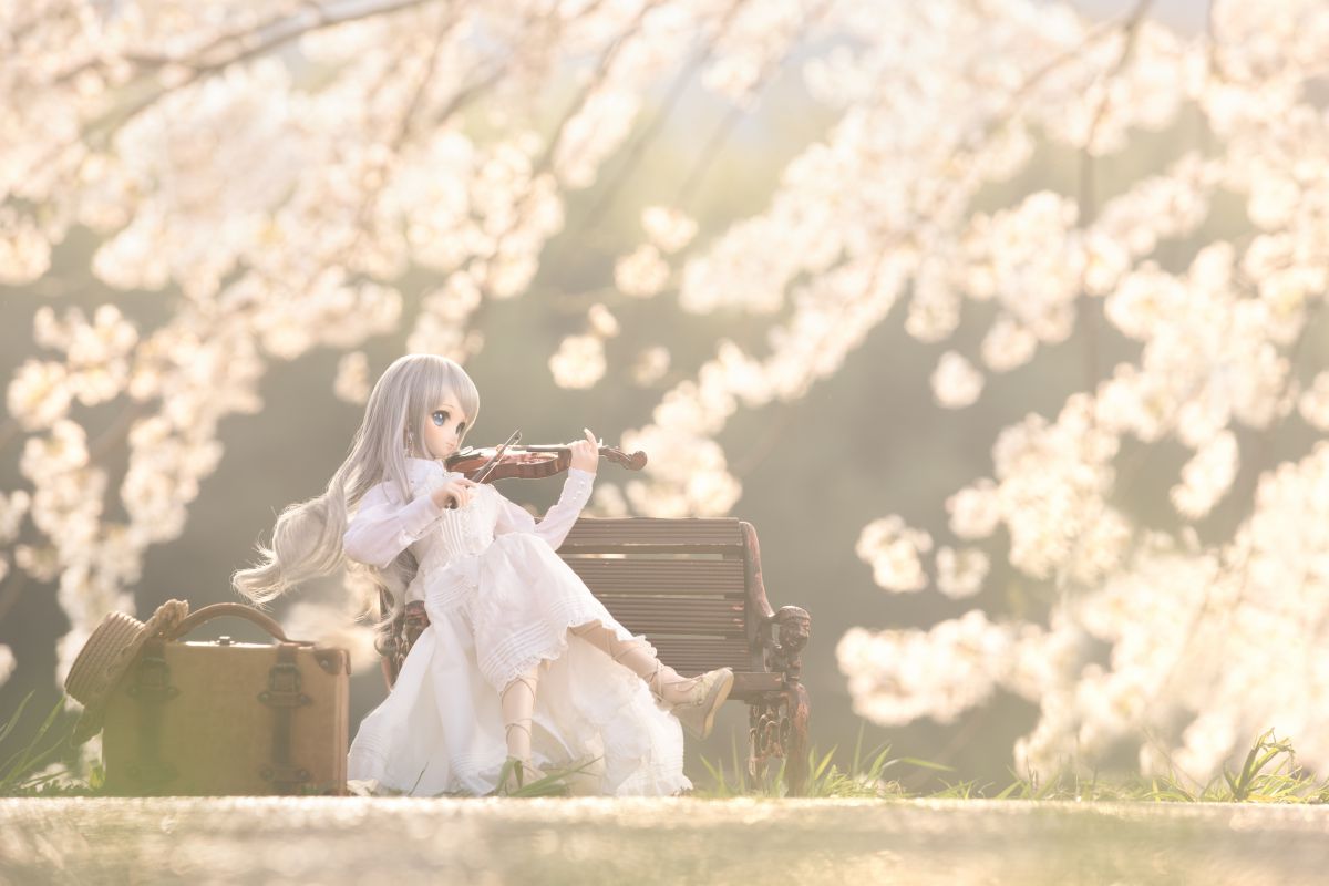 Morning Harmony | GANREF