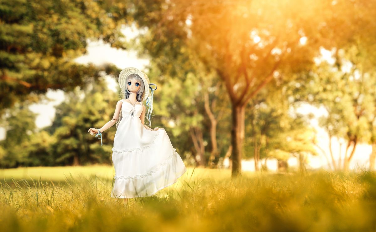 夕陽とワンピース | GANREF