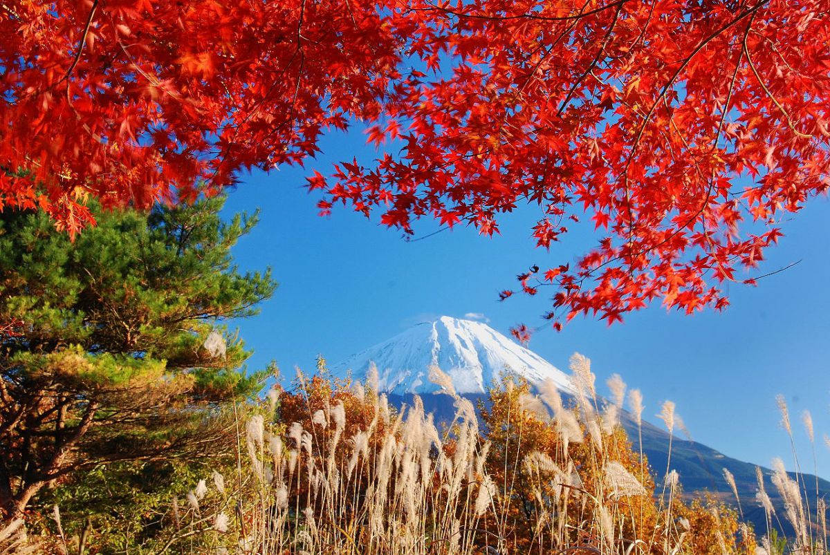 秋の彩.jpg | GANREF