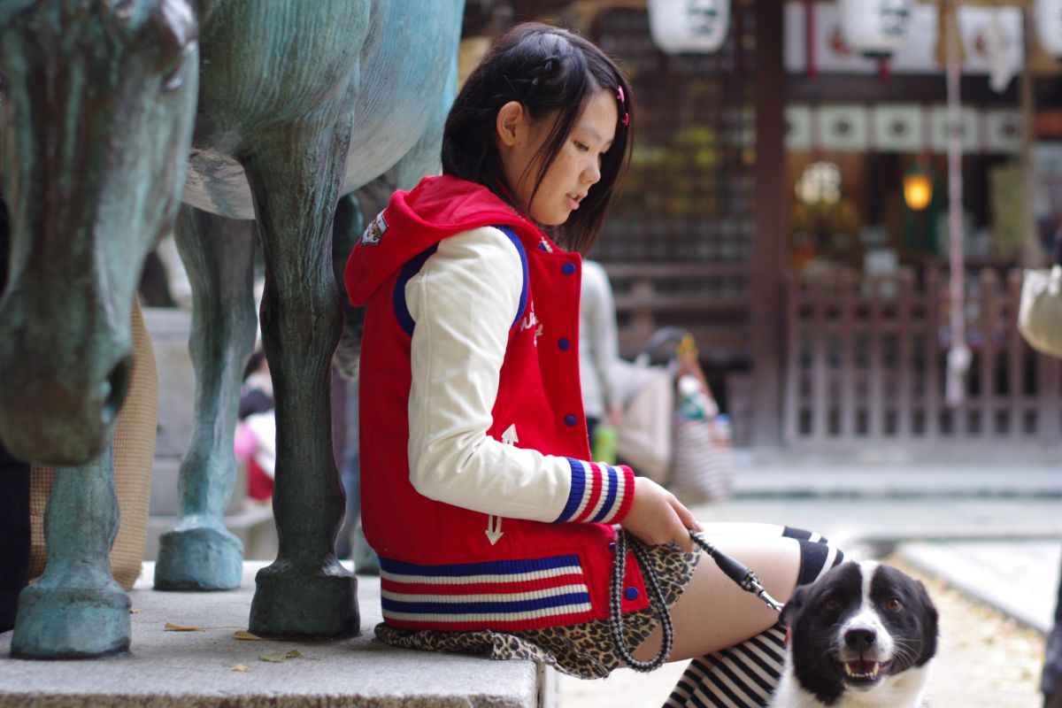 馬と女の子と犬と | GANREF