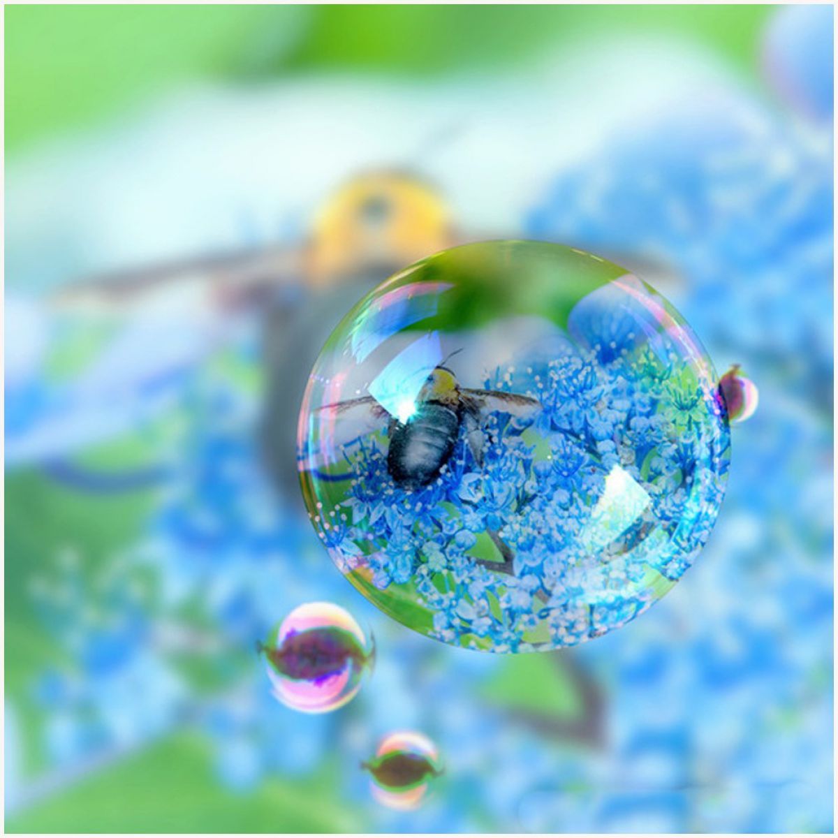 Summer Beauty | GANREF