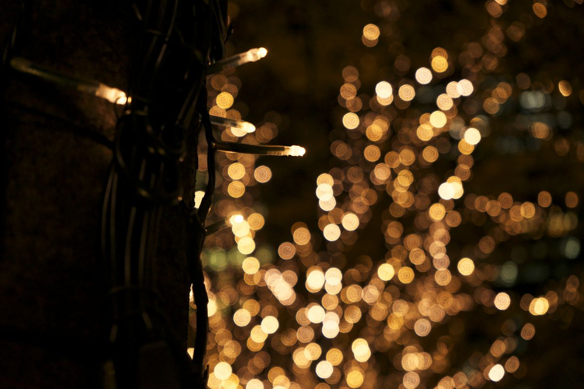 Bright Star | GANREF