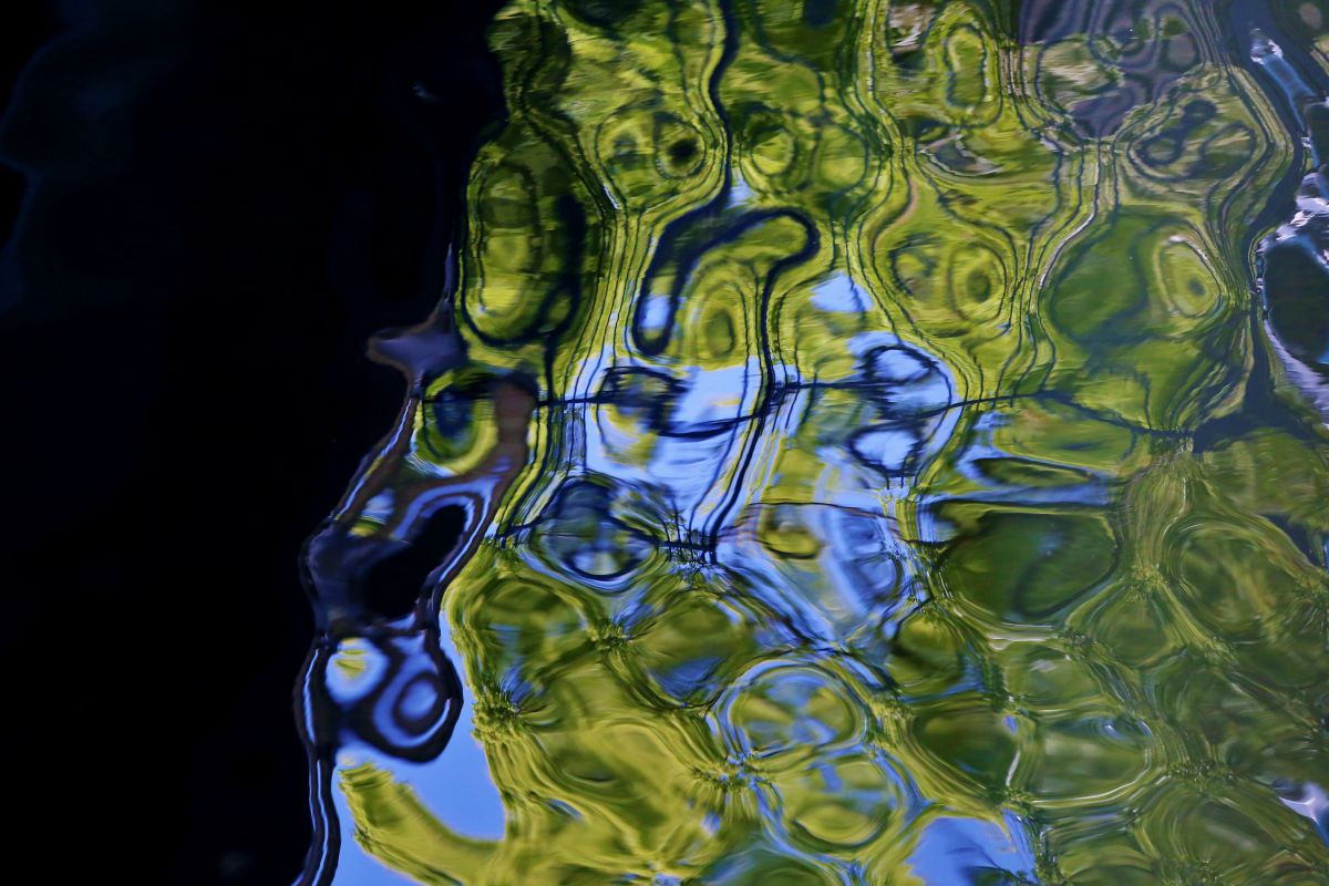 水模様443 | GANREF