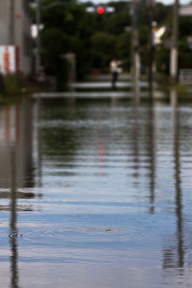 after the rain | GANREF