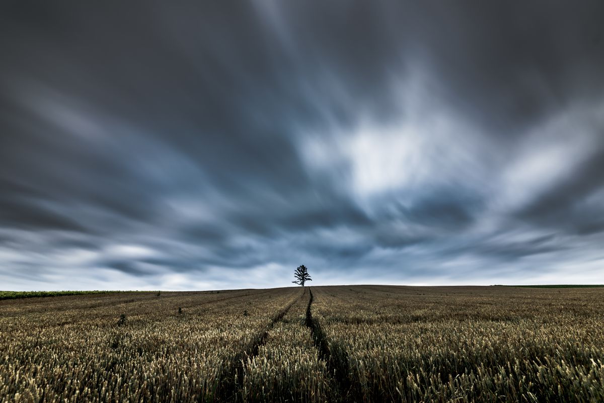 夏雲の流れ | GANREF