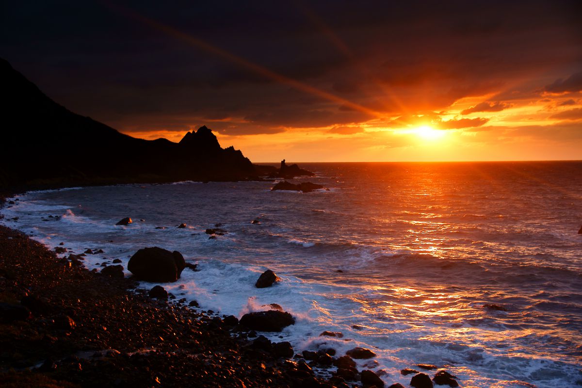 雨上がりに輝く・・・ | GANREF