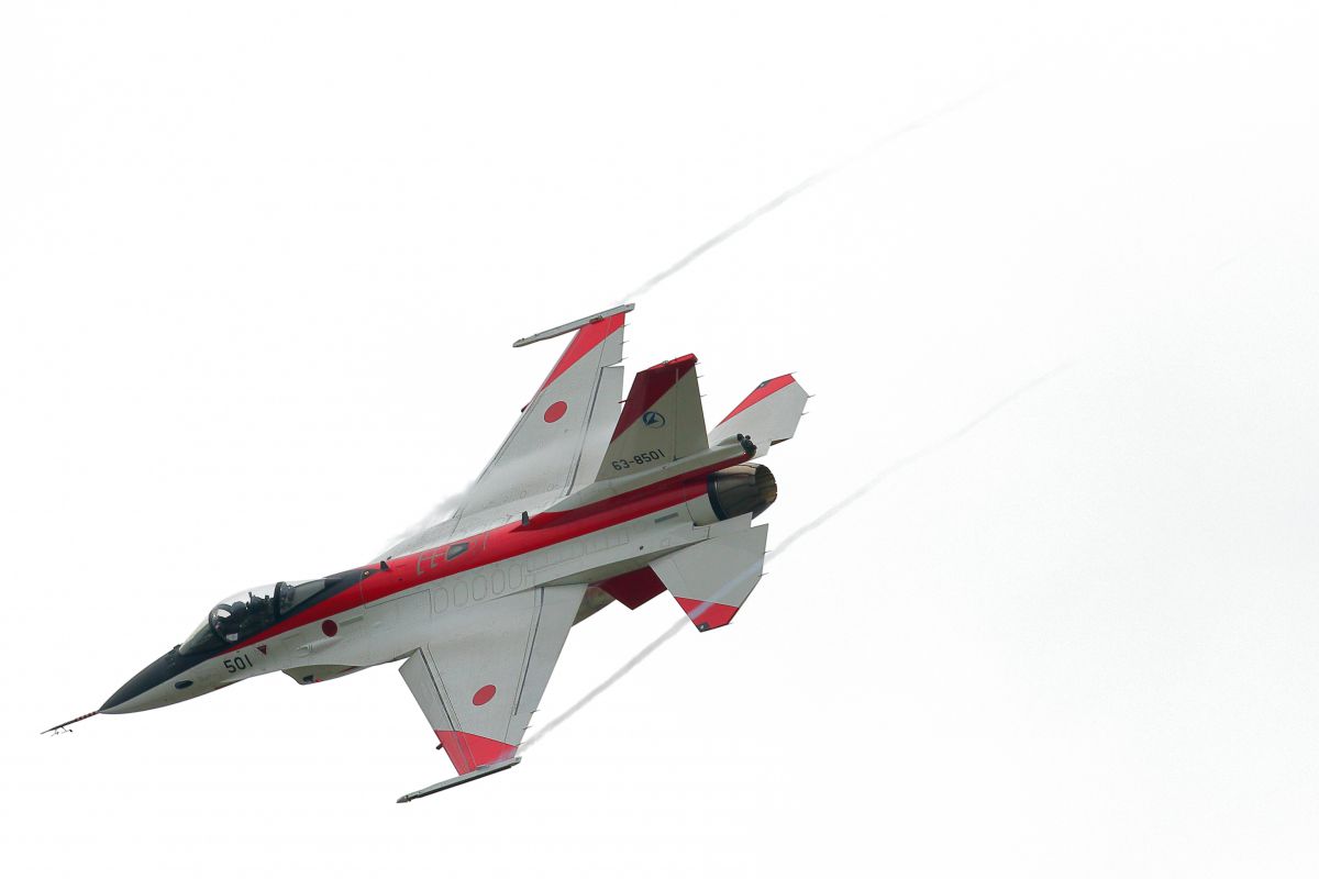 White Falcon | GANREF