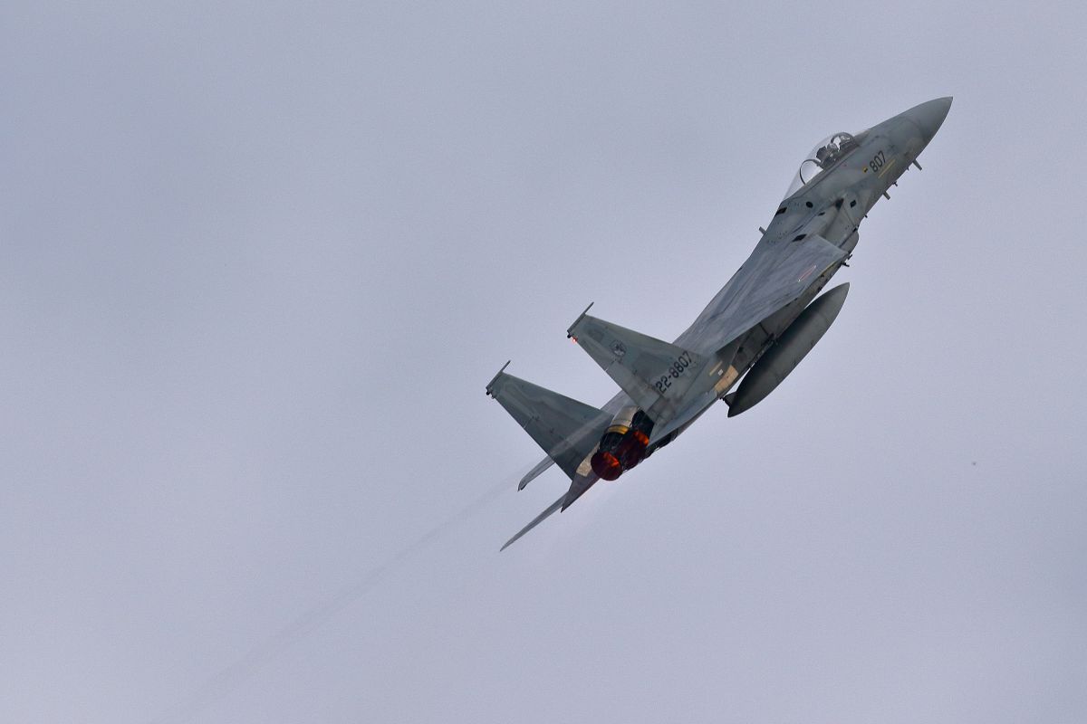 F-15 High rate climb!! | GANREF