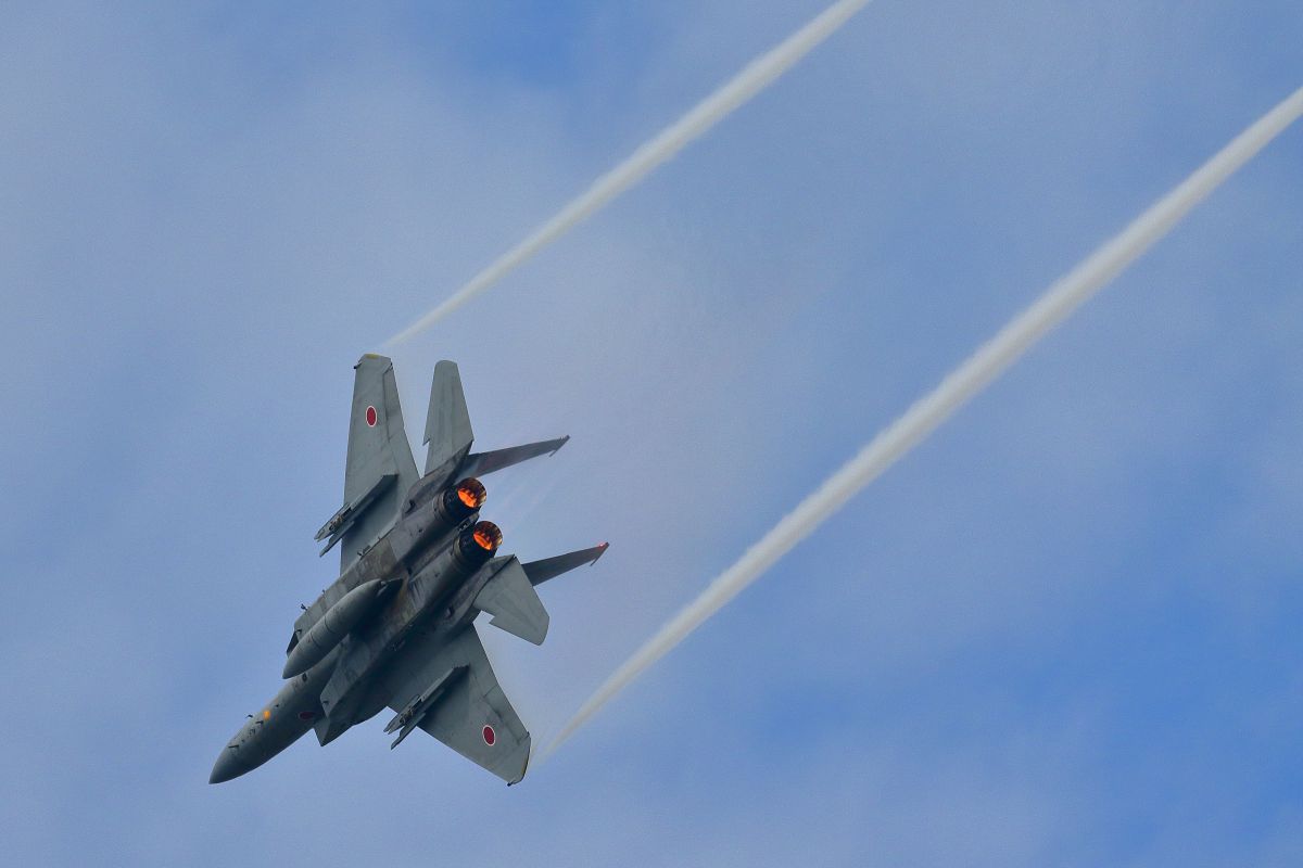 The Fighter!! | GANREF