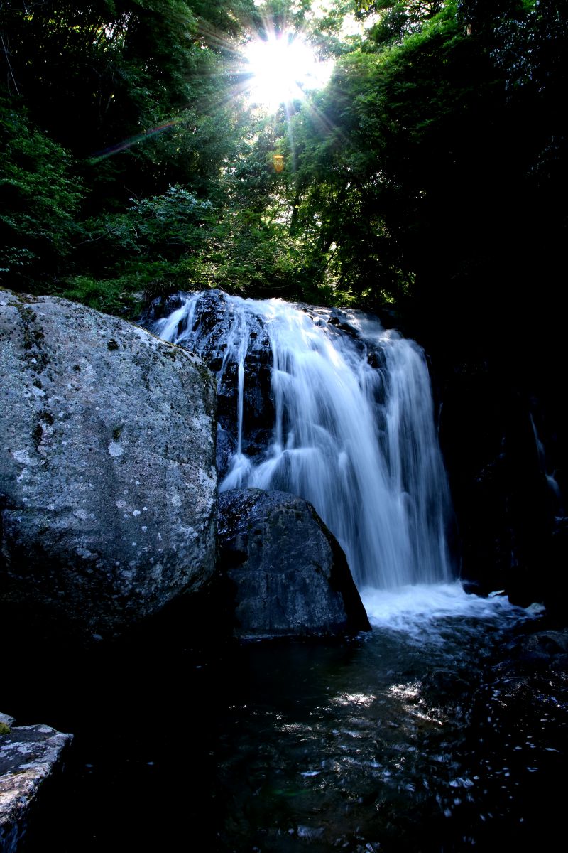 -涼- 2015初夏 | GANREF