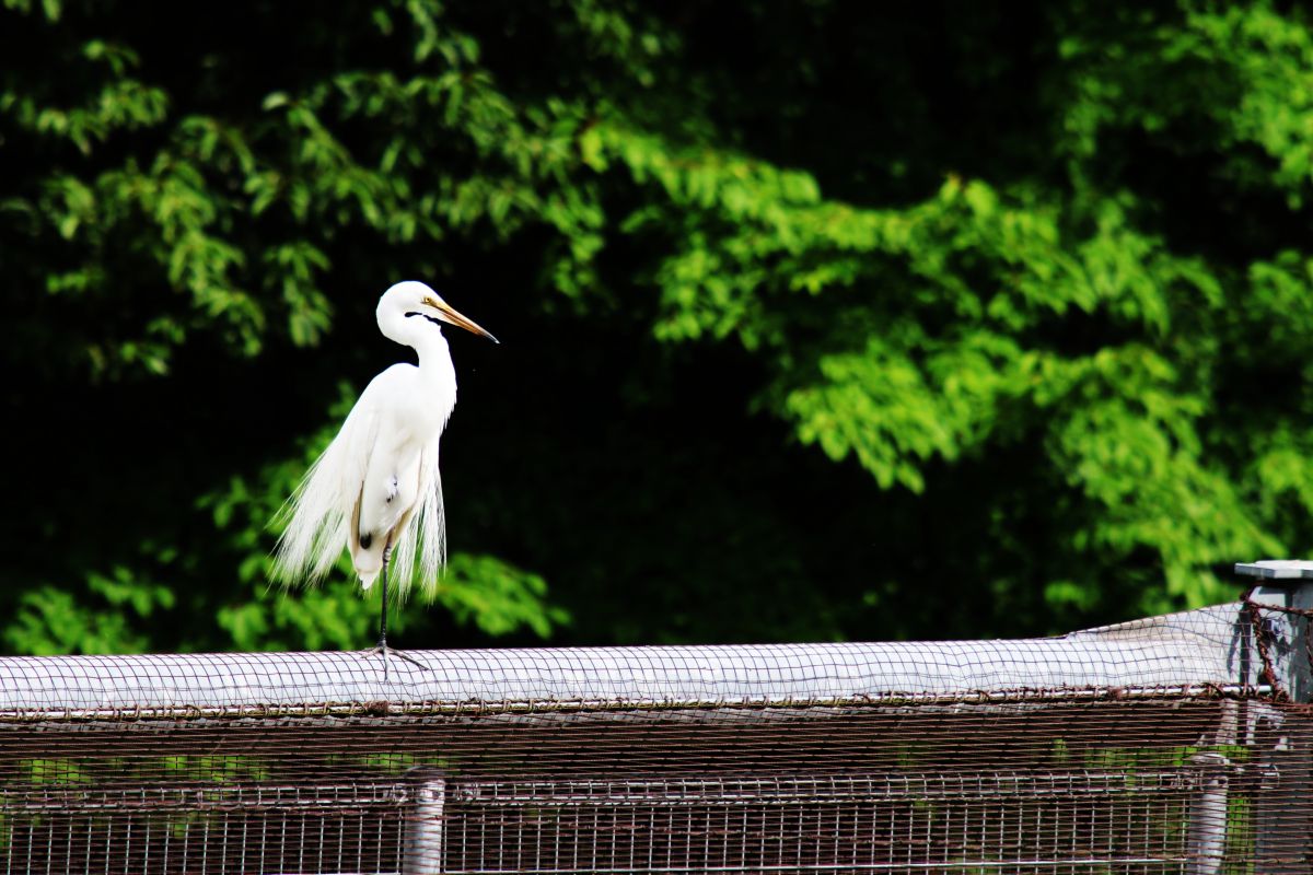 たくらみ | GANREF