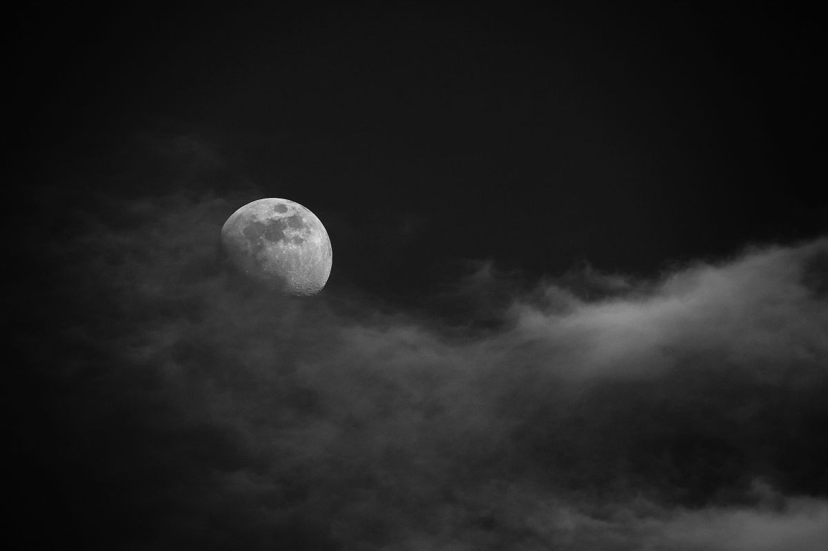 floating moon | GANREF