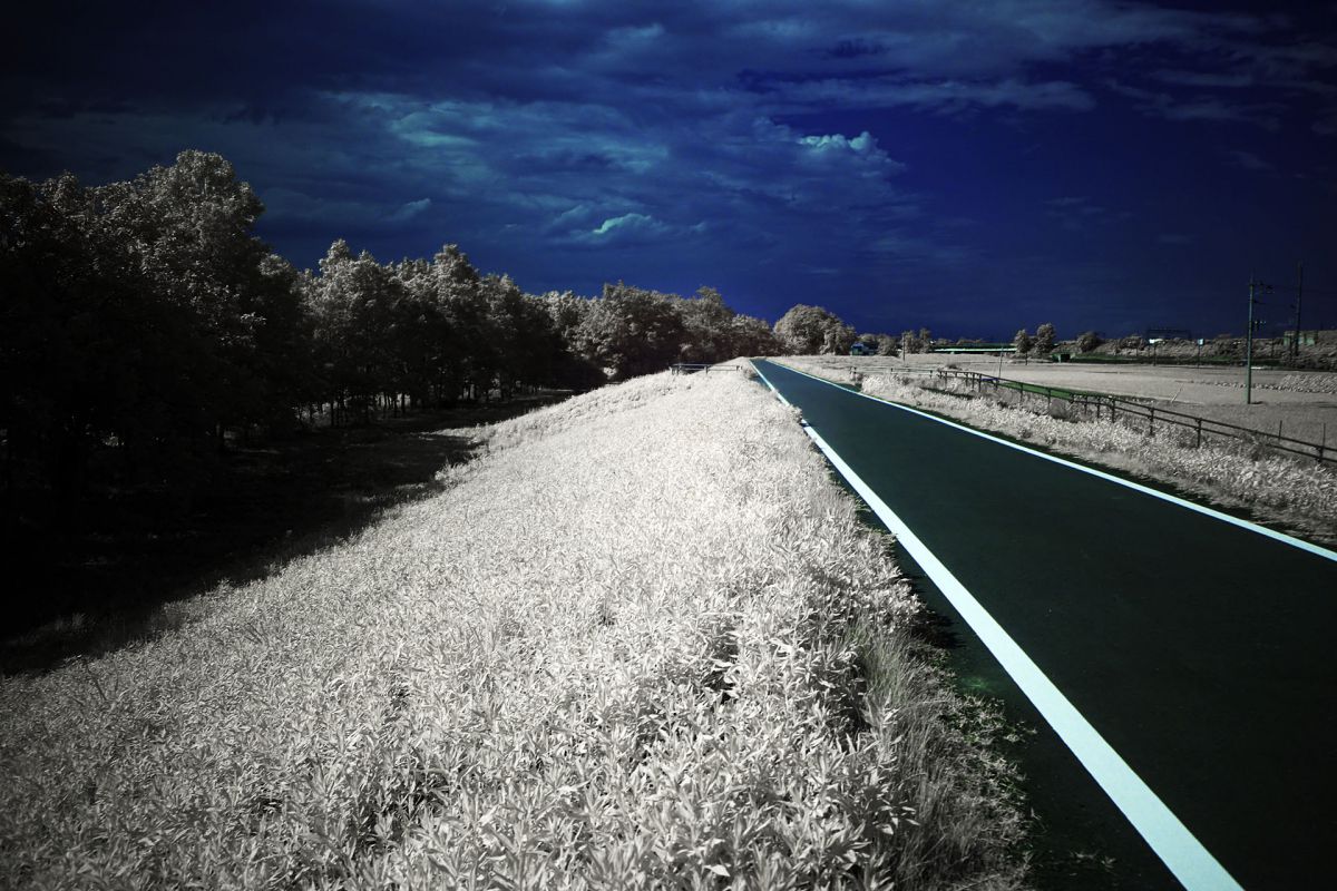 IRテスト | GANREF