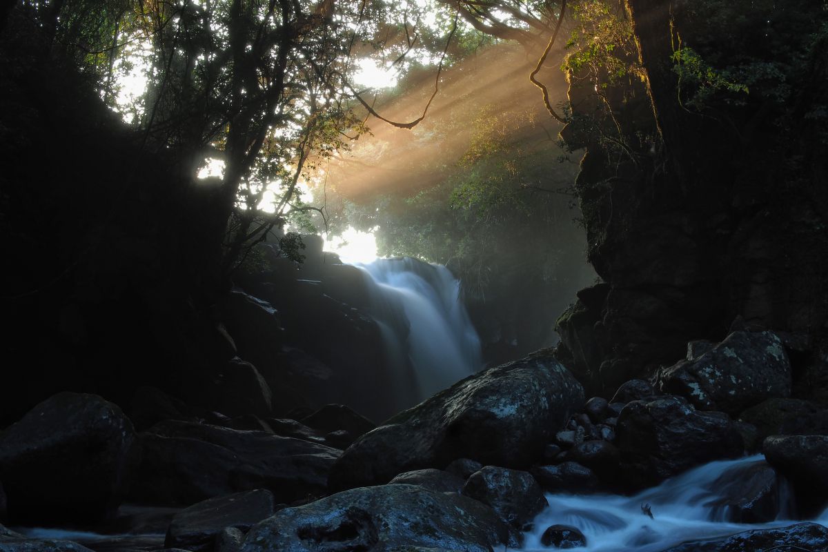 最初の一筋 | GANREF