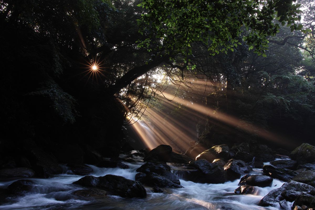 a beam of light | GANREF