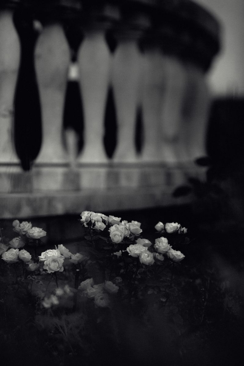 212Y5029-5-4.jpg | GANREF