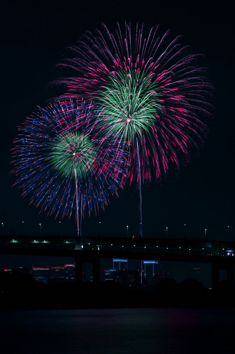 夜夏の華 No.006 | GANREF