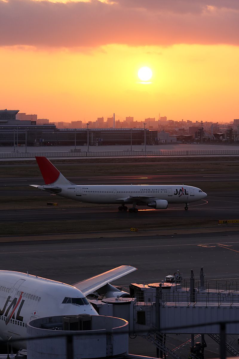 haneda・sunset | GANREF