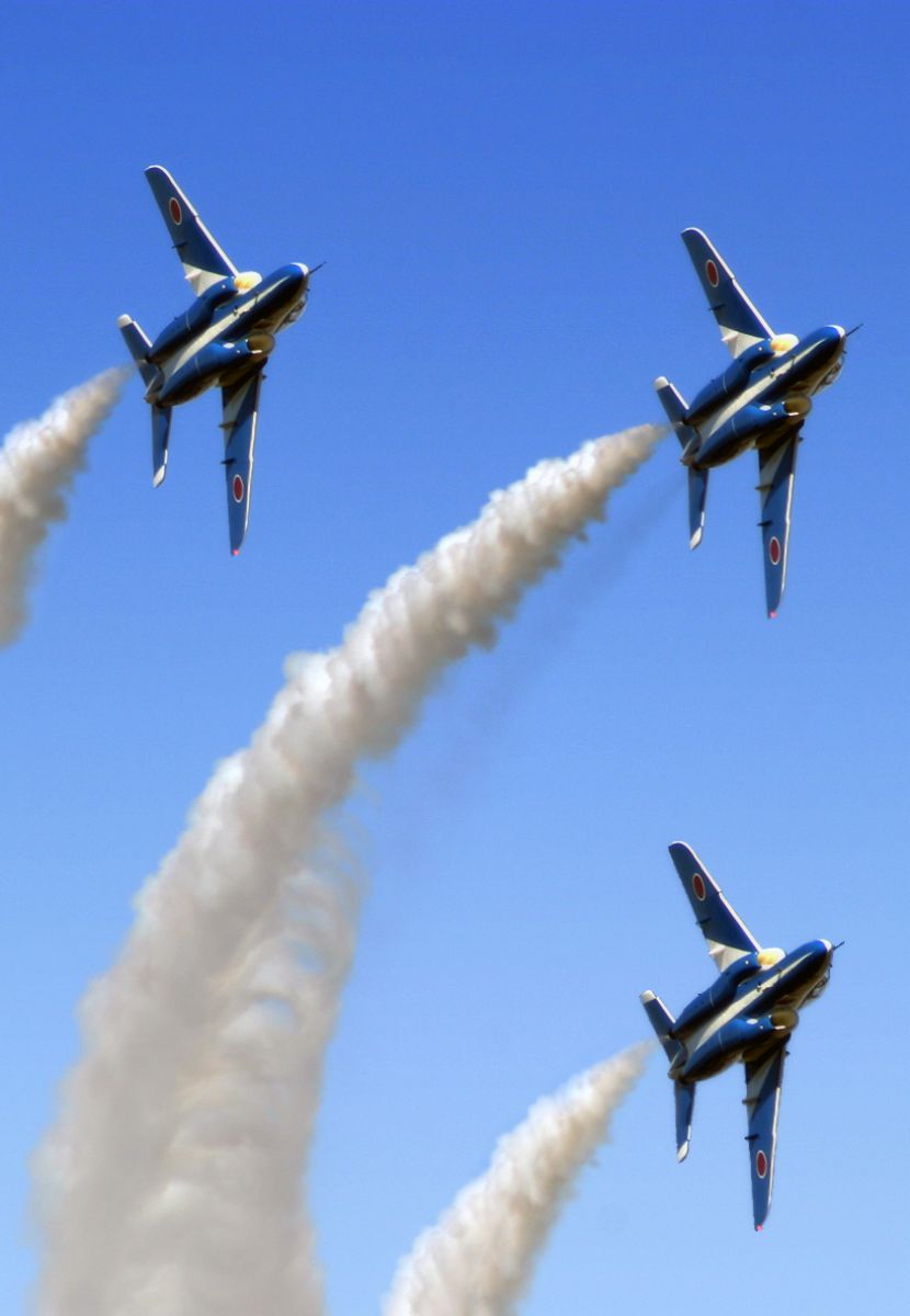 Blue Dolphins | GANREF