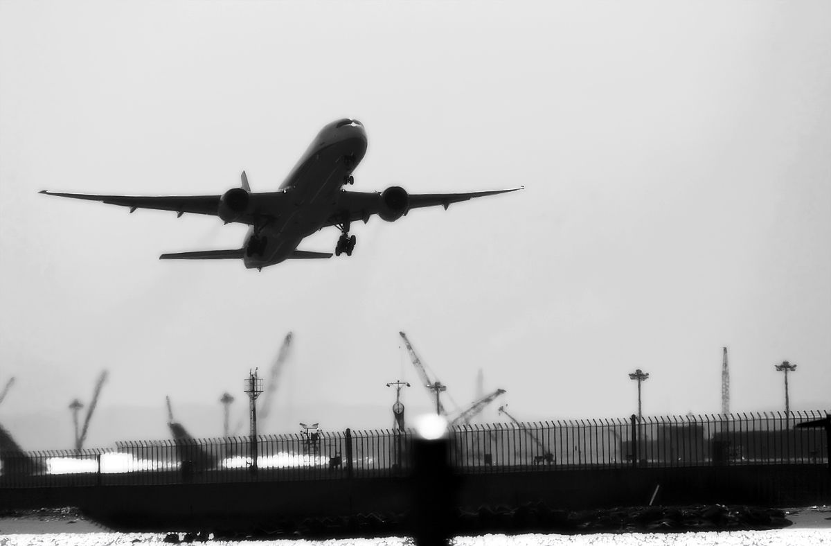 monochrome flight | GANREF