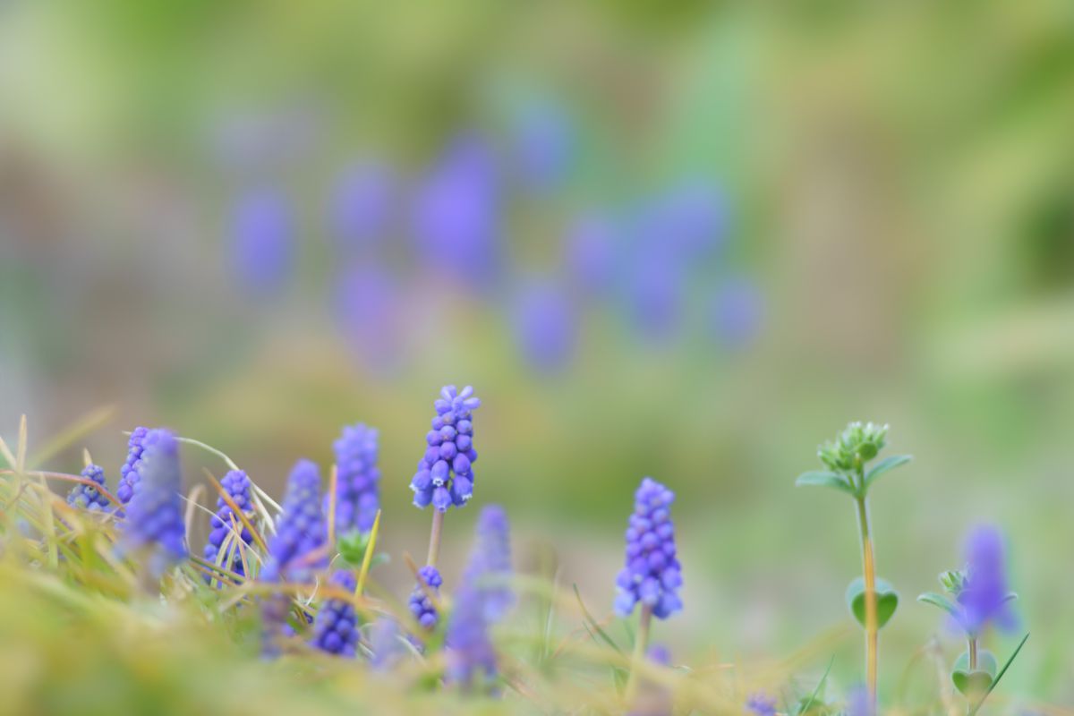 通じ合う心（2014） | GANREF