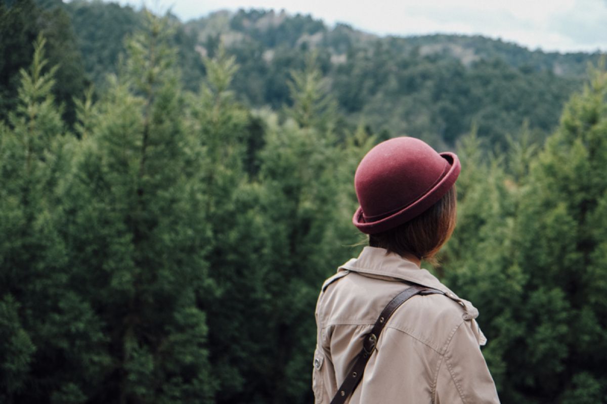 Green and Red | GANREF