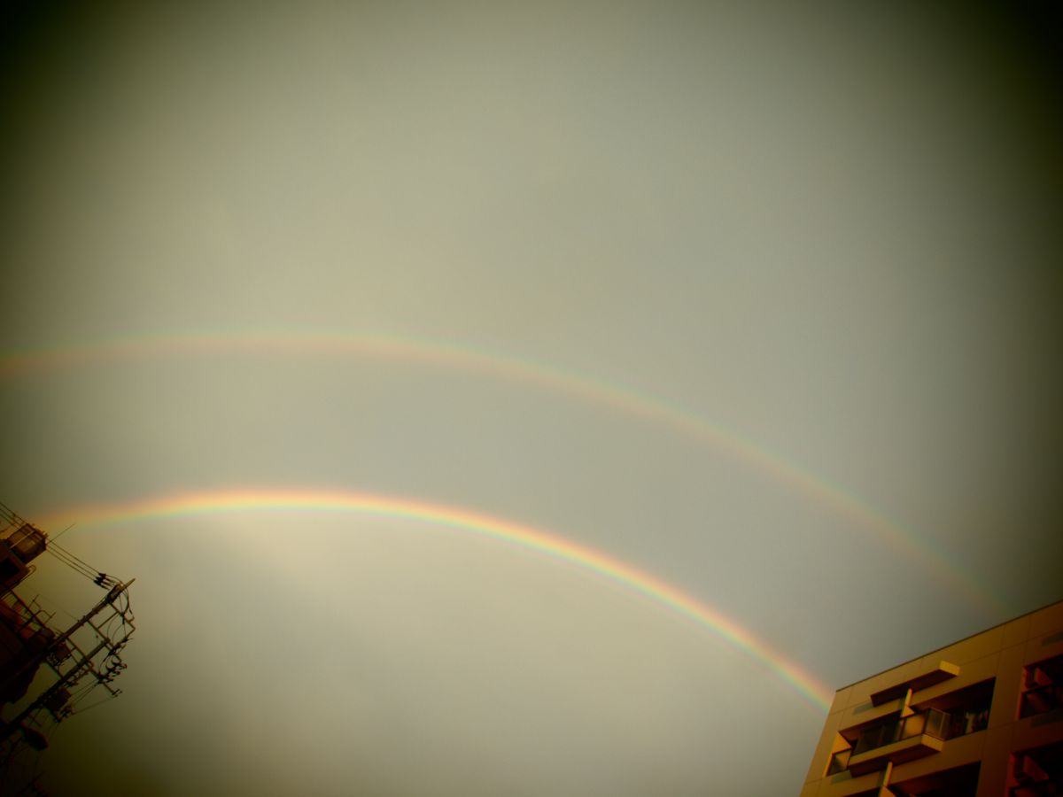 Double Rainbow | GANREF
