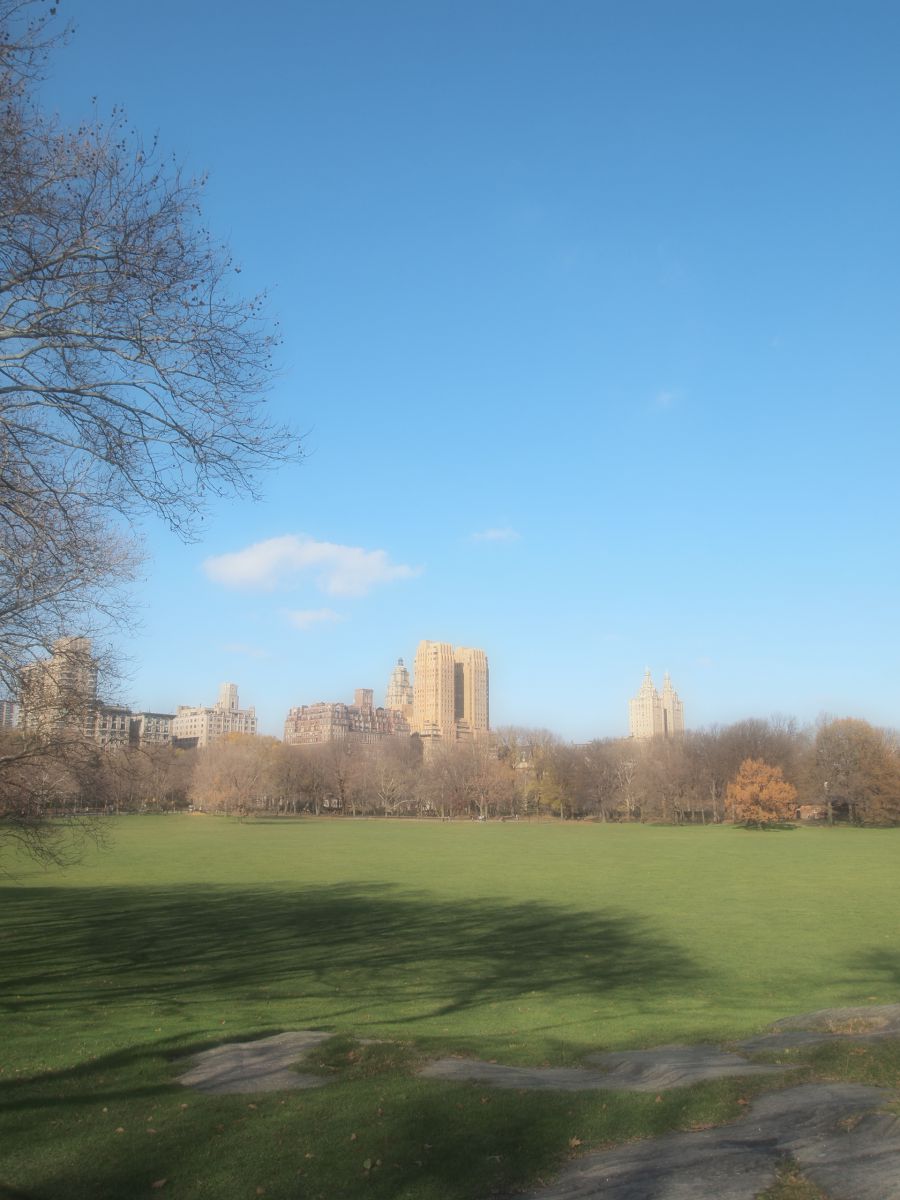 Blue & Green | GANREF