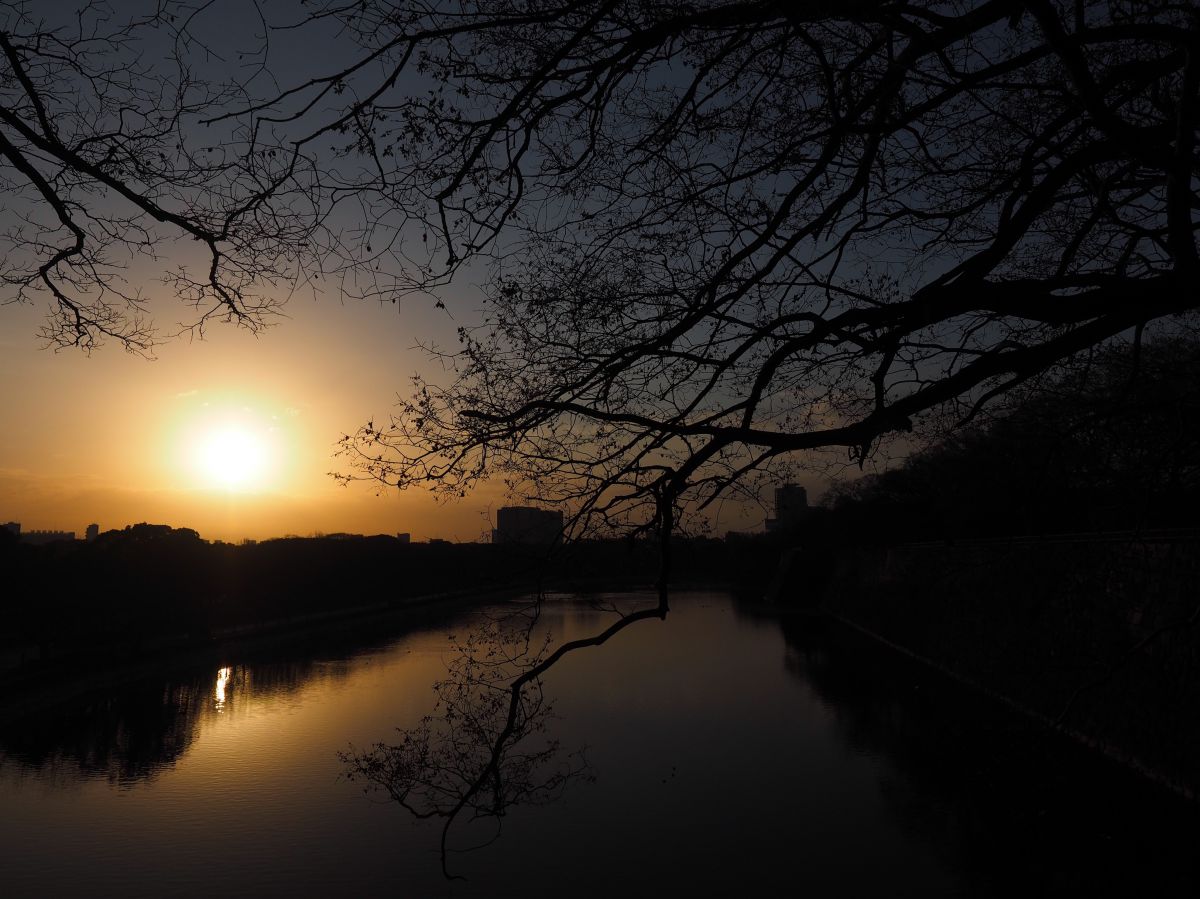 Morning sunrise from Osaka Castle | GANREF