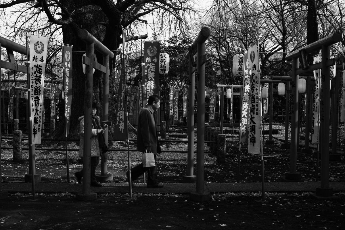 Trough the gate | GANREF