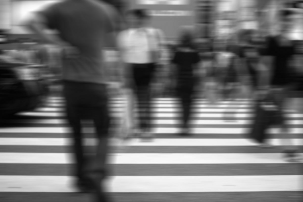 Shinjuku crossing | GANREF