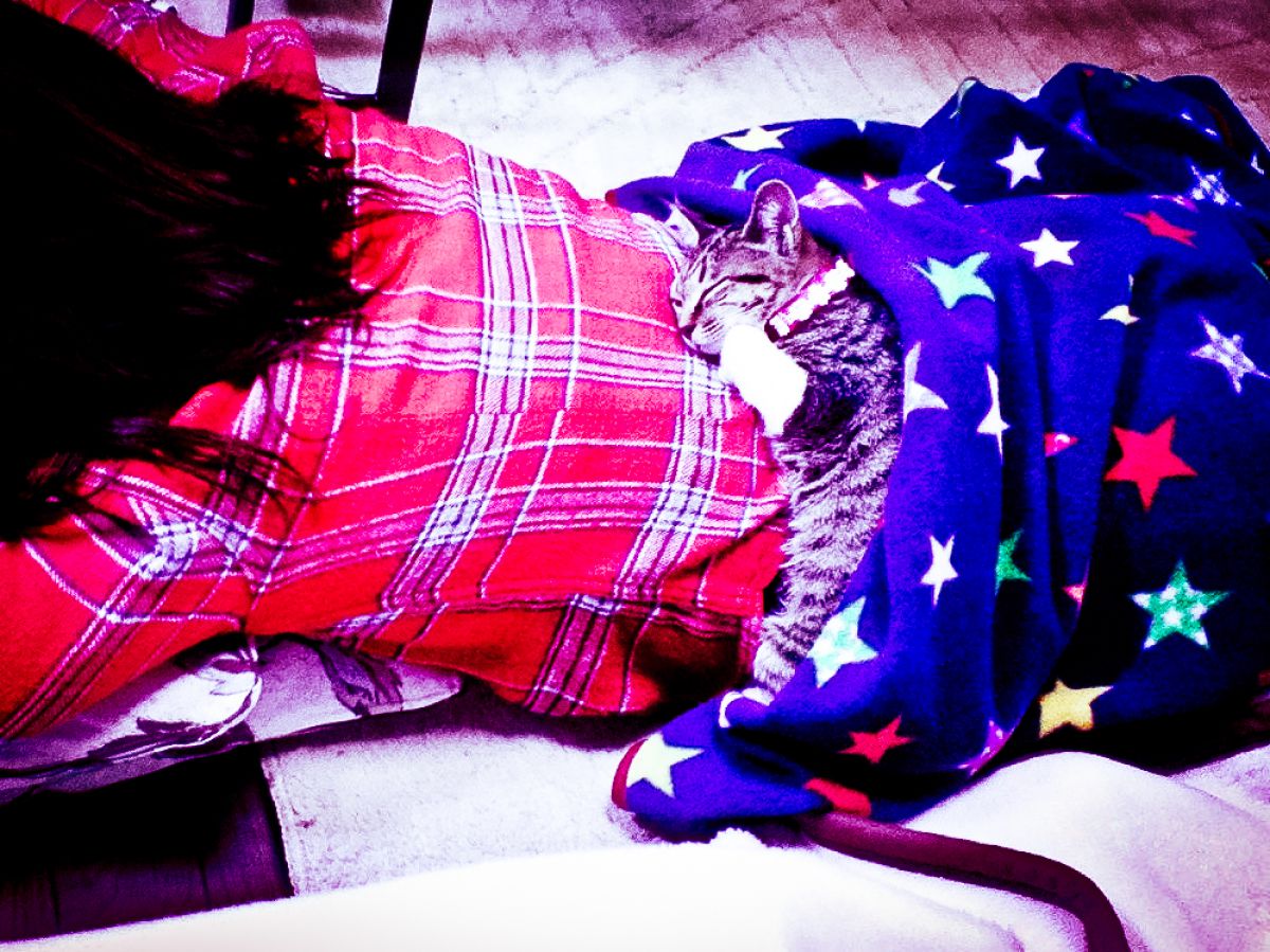 sleep★sleep | GANREF