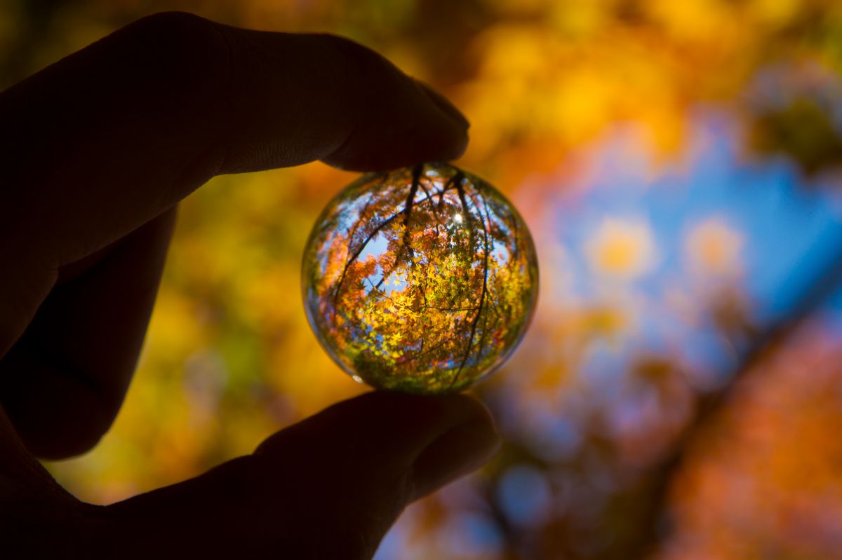 紅葉planet | GANREF