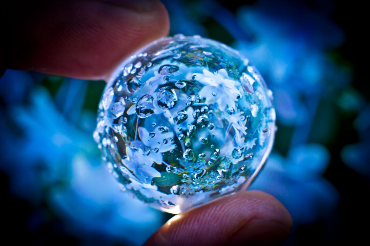 Hydrangea ball | GANREF