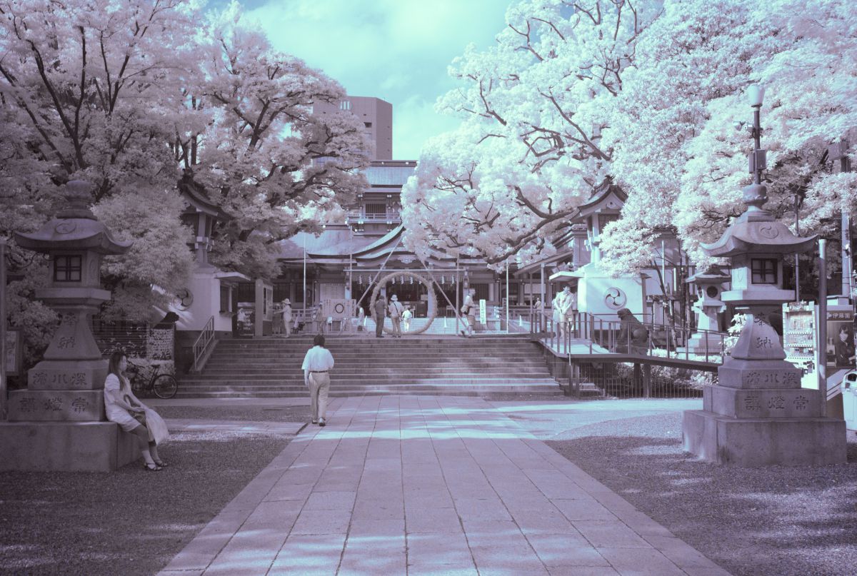 富岡八幡宮 IR | GANREF