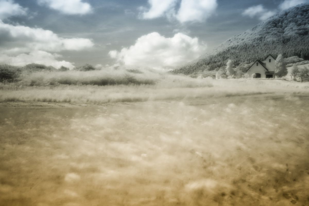 やくらいガーデン IR | GANREF