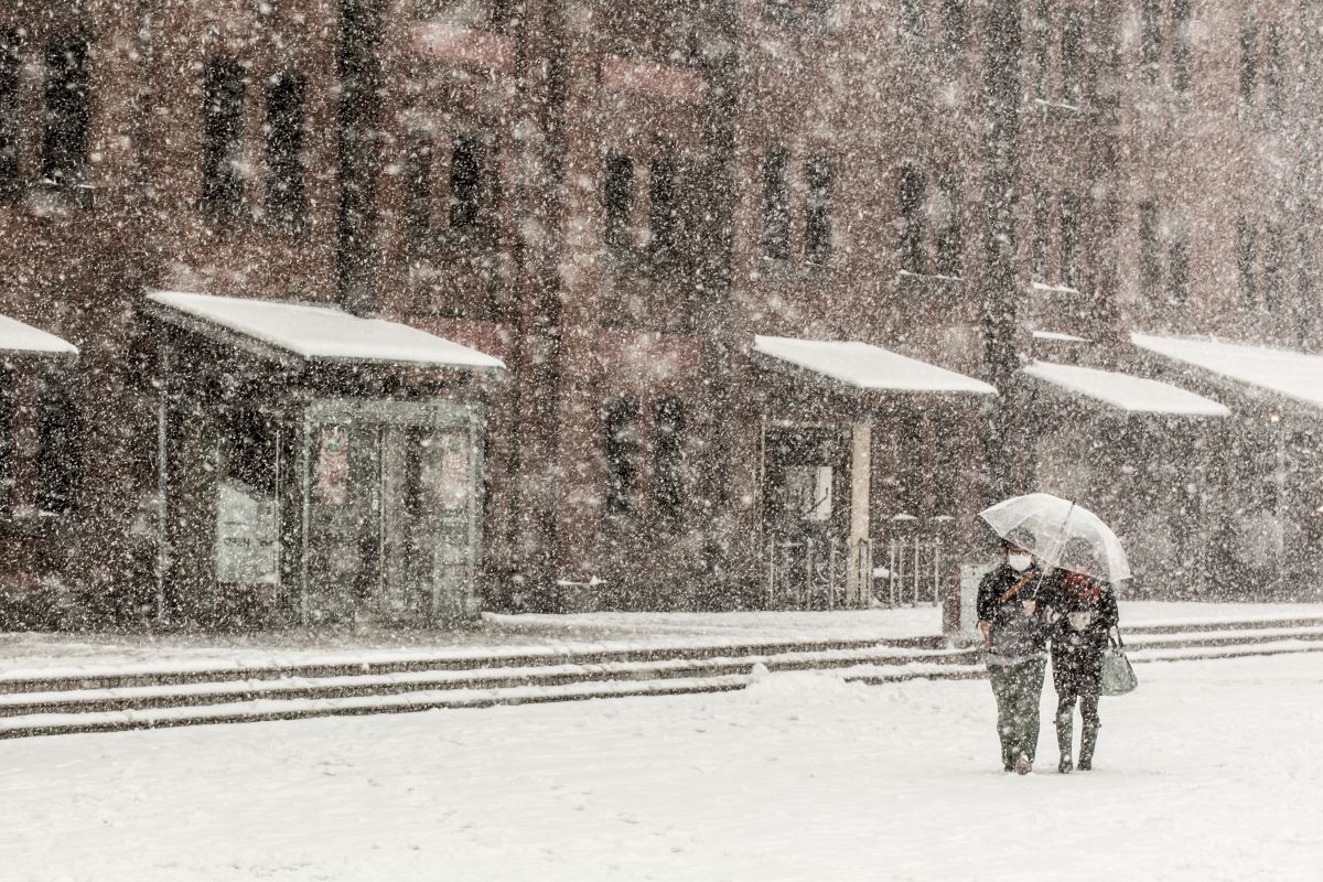 blizzard/lovers | GANREF