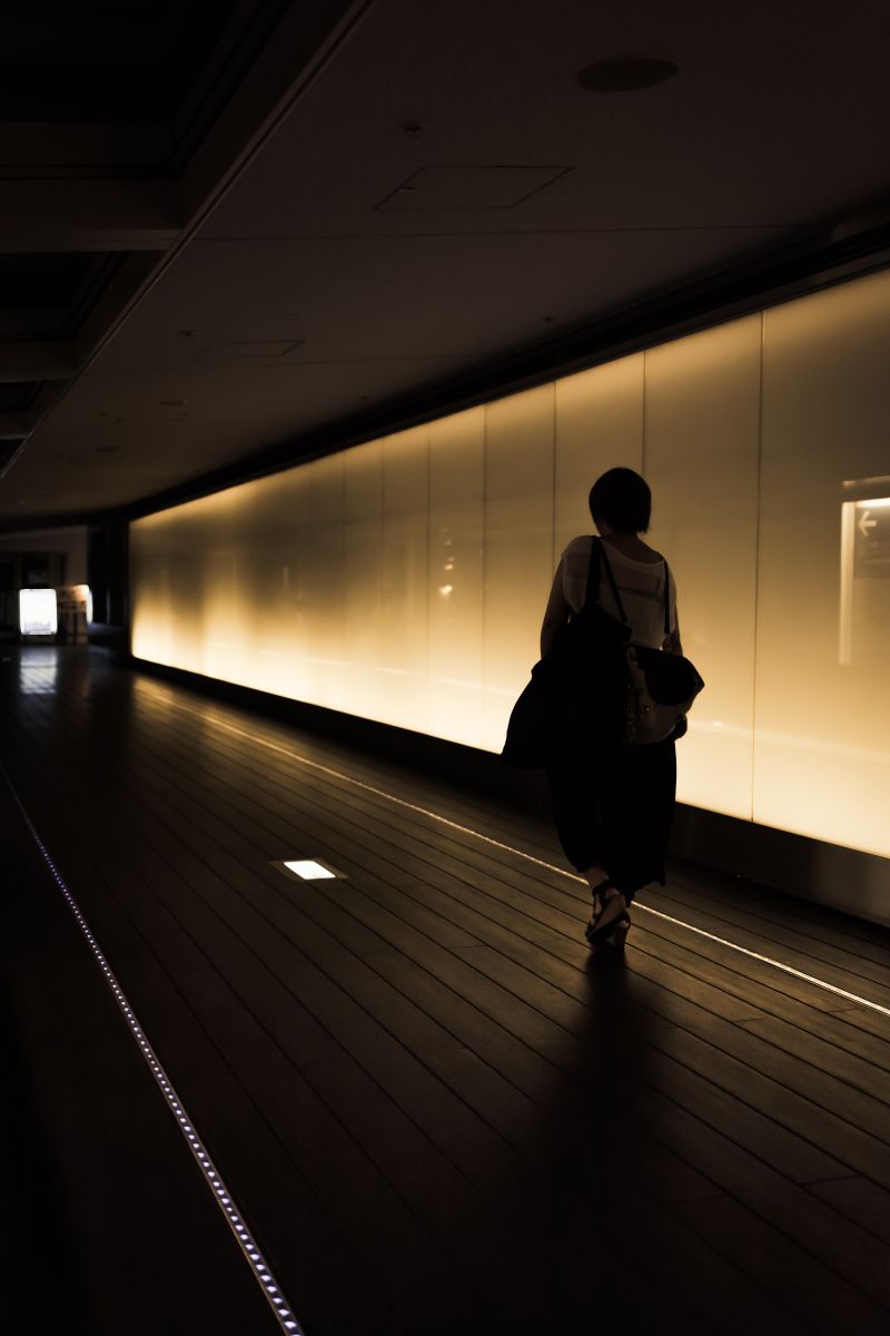 light to lead | GANREF