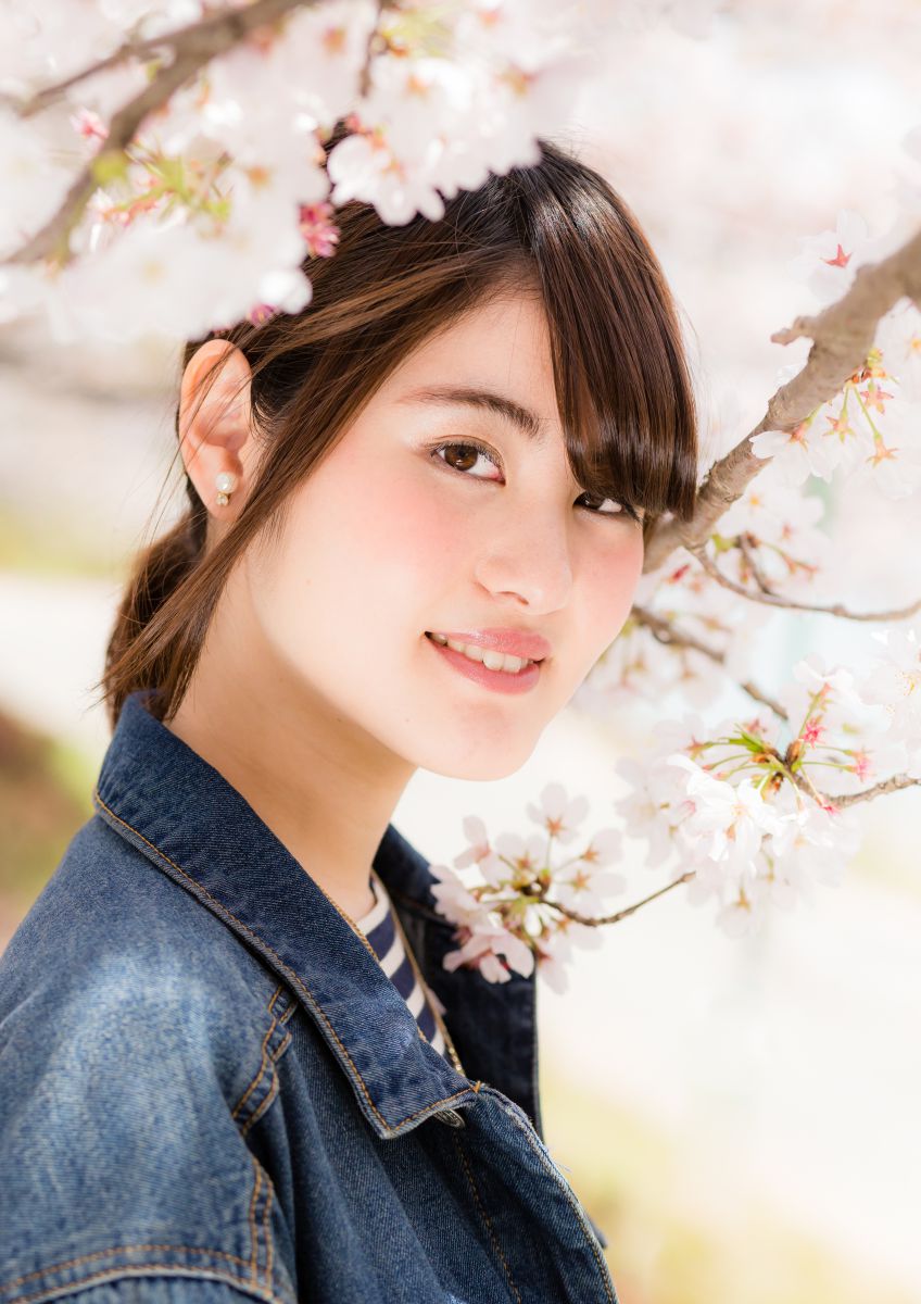 sakura-beauty | GANREF