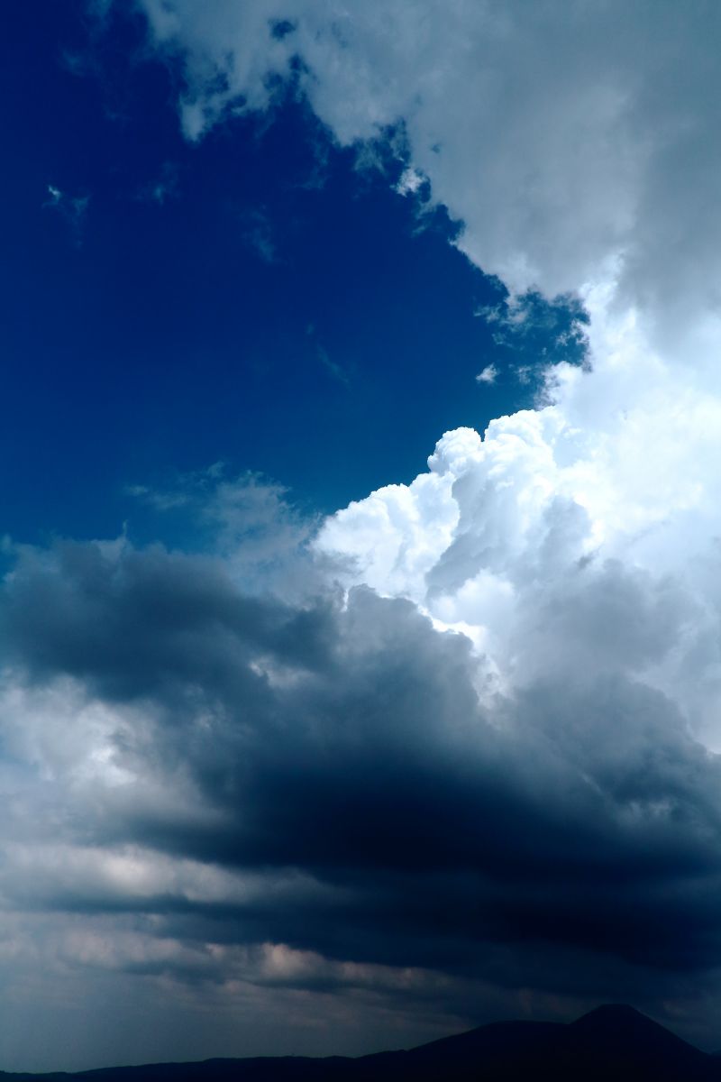 sheltering sky | GANREF