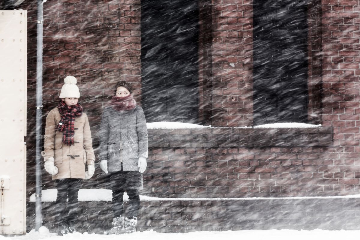 blizzard/friends | GANREF