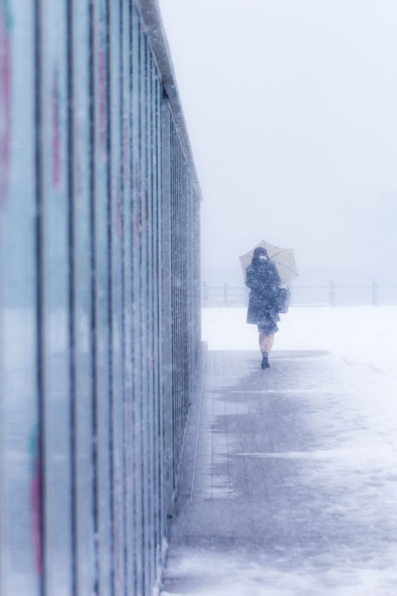 blizzard/alone | GANREF