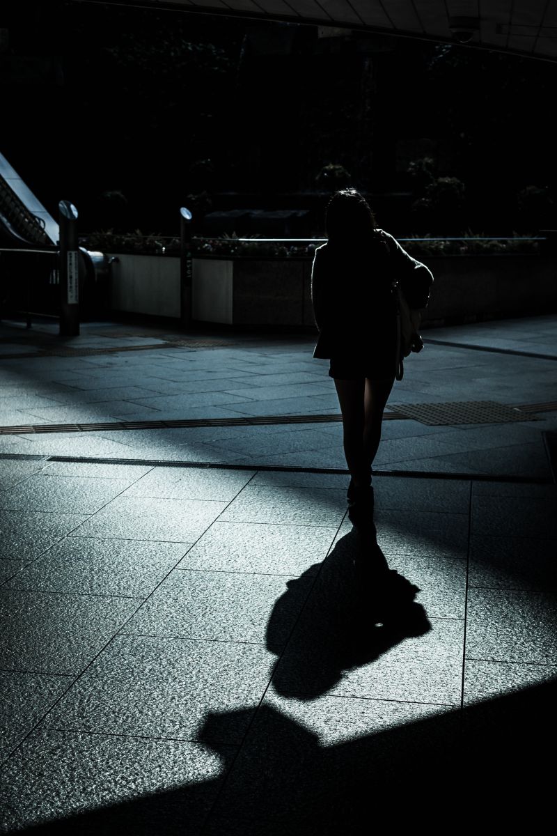 border:light/shade | GANREF