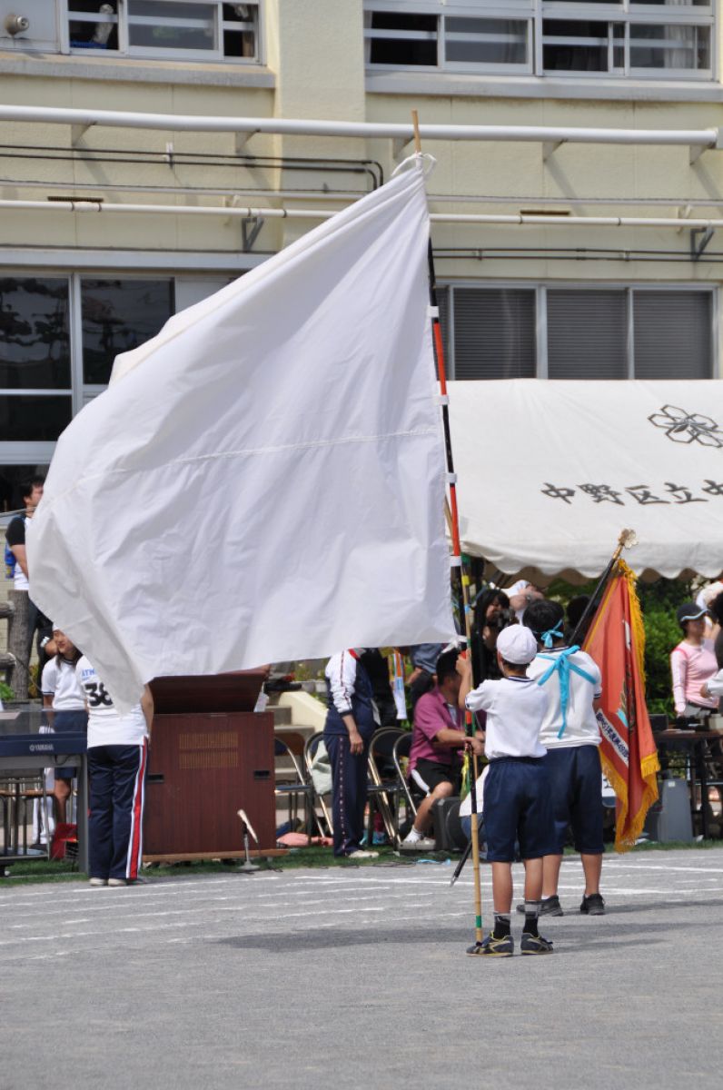 Show the flag | GANREF